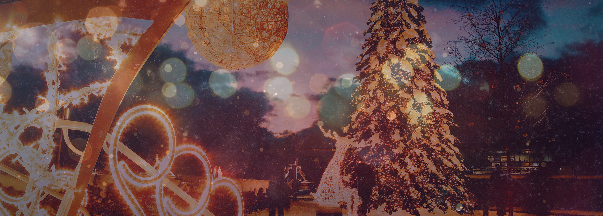 The Giant Tree Experience | LedsArt